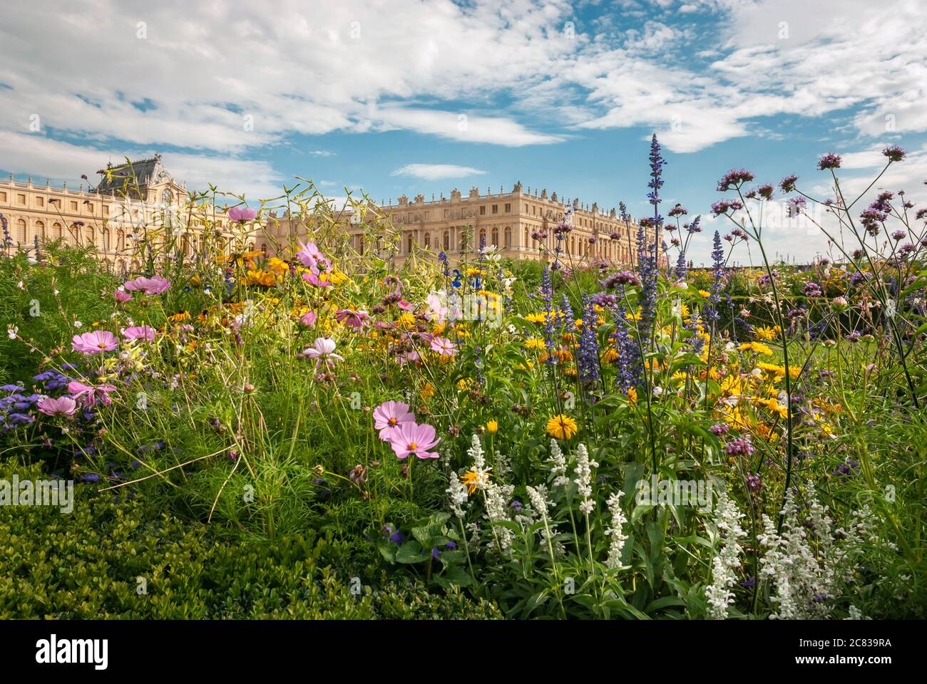 Blossoming flower beds at Versailles Palace Park Stock Photo - Alamy