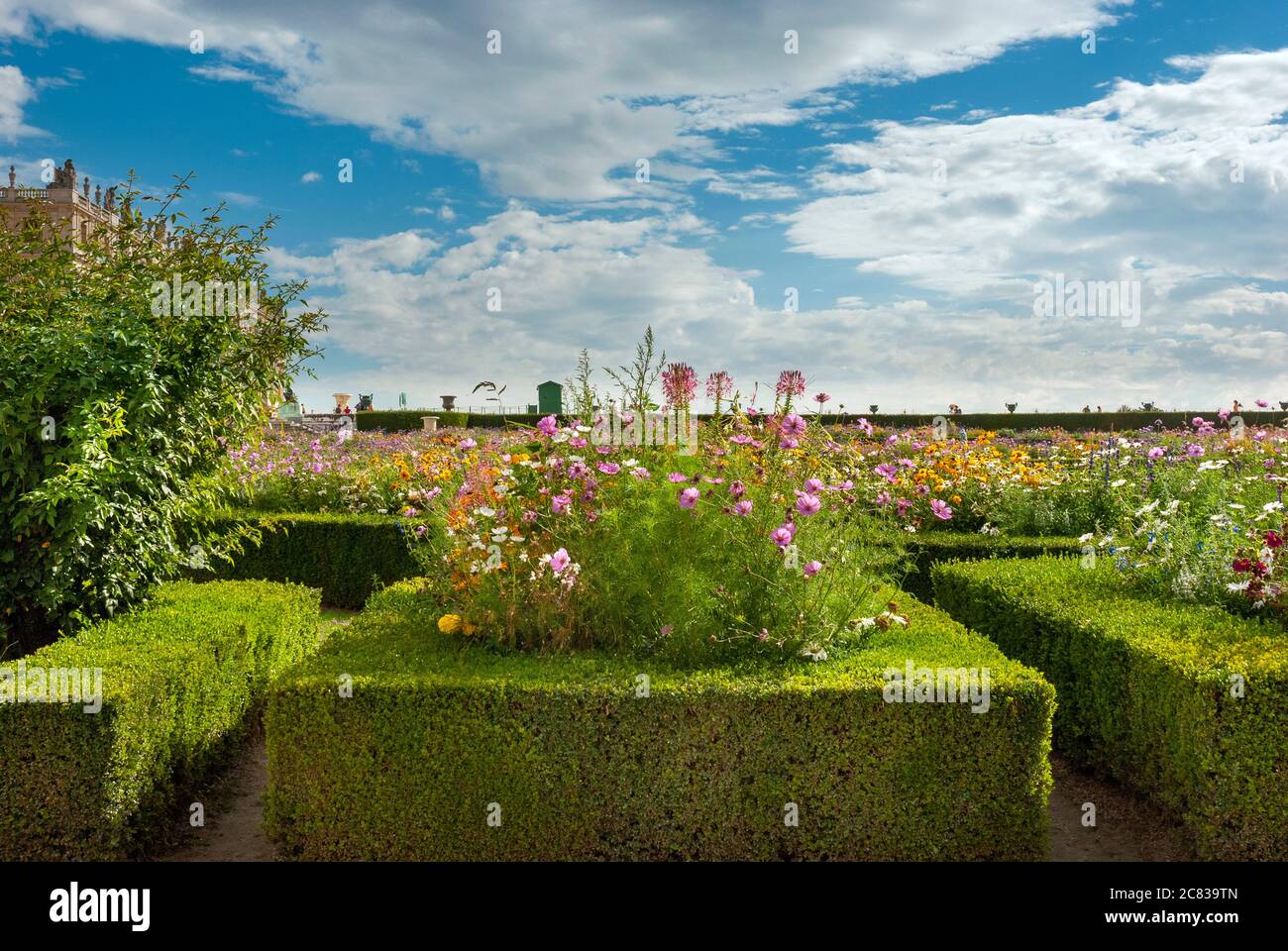 Blossoming flower beds at Versailles Palace Park Stock Photo - Alamy