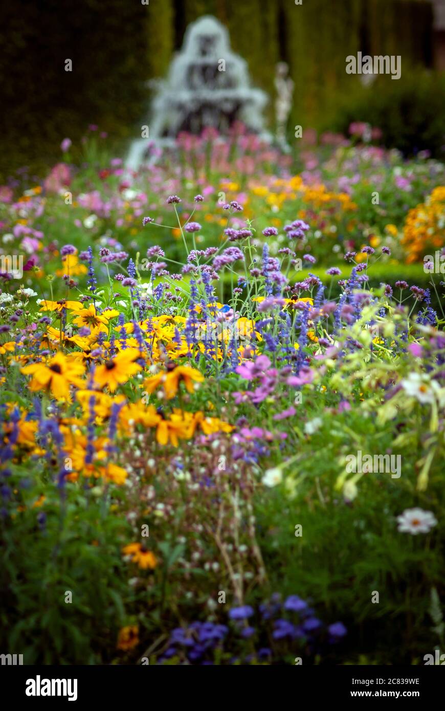 Blossoming flower beds at Versailles Palace Park Stock Photo - Alamy