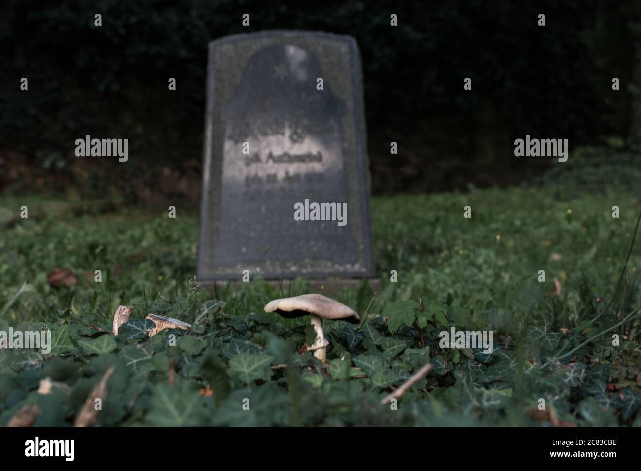 Closeup shot cemetery in hi-res stock photography and images - Alamy