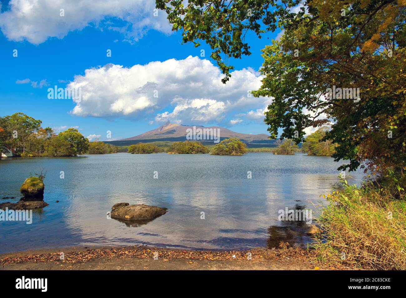 Colorful garden lake in Onuma national park in front Mount Komagatake ...