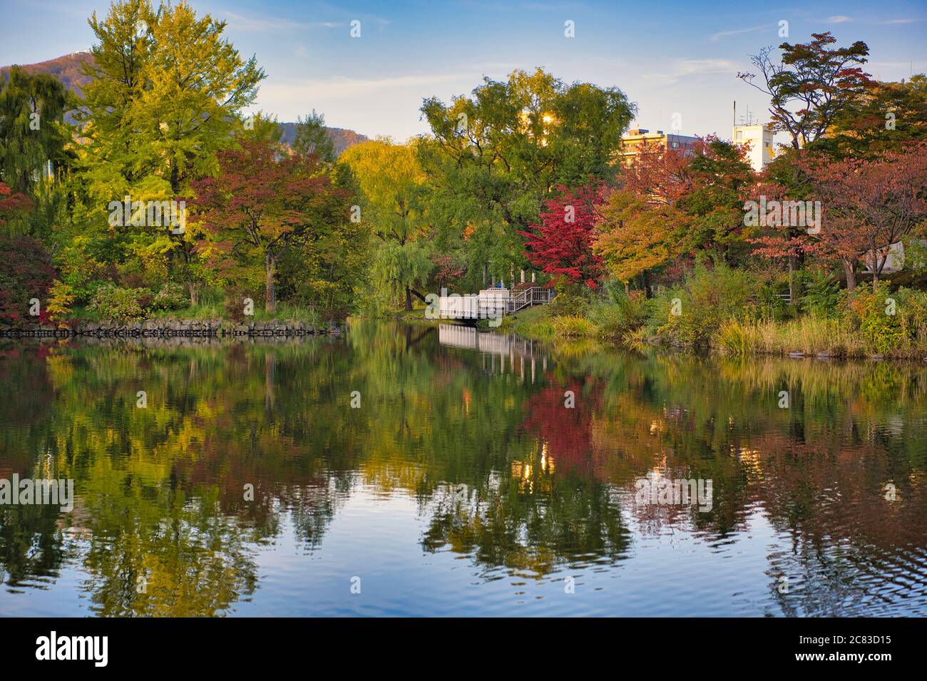 Nakajima park autumn hi-res stock photography and images - Alamy