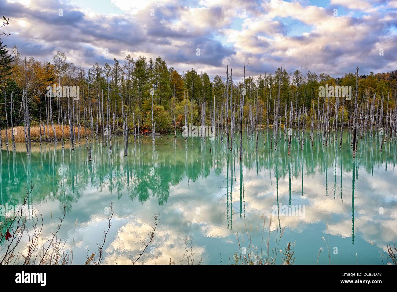 Biei hokkaido blue pond hi-res stock photography and images - Alamy