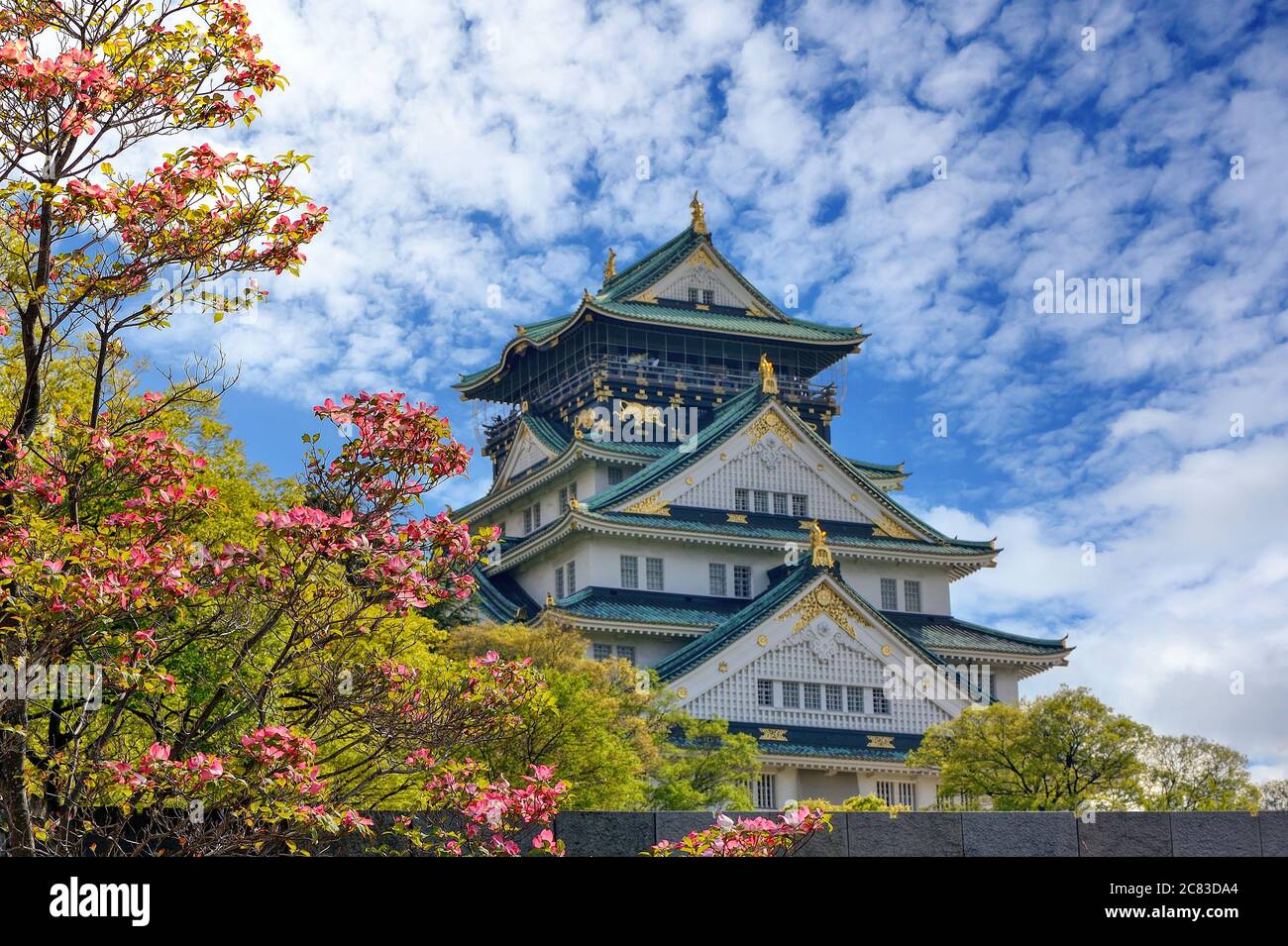 The garden has pink flowers in full bloom on a clear day in summer. The ...