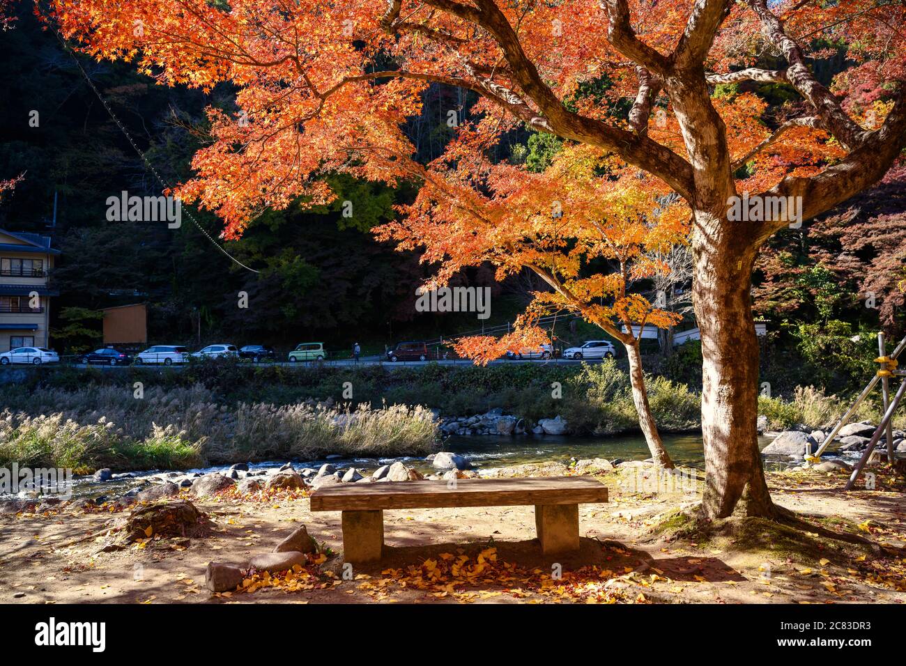Japanese garden stone bench hi-res stock photography and images - Alamy