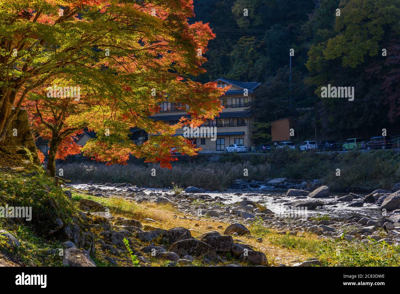 Korankei Valley In autumn, Riverside with rocks and grass outside of ...