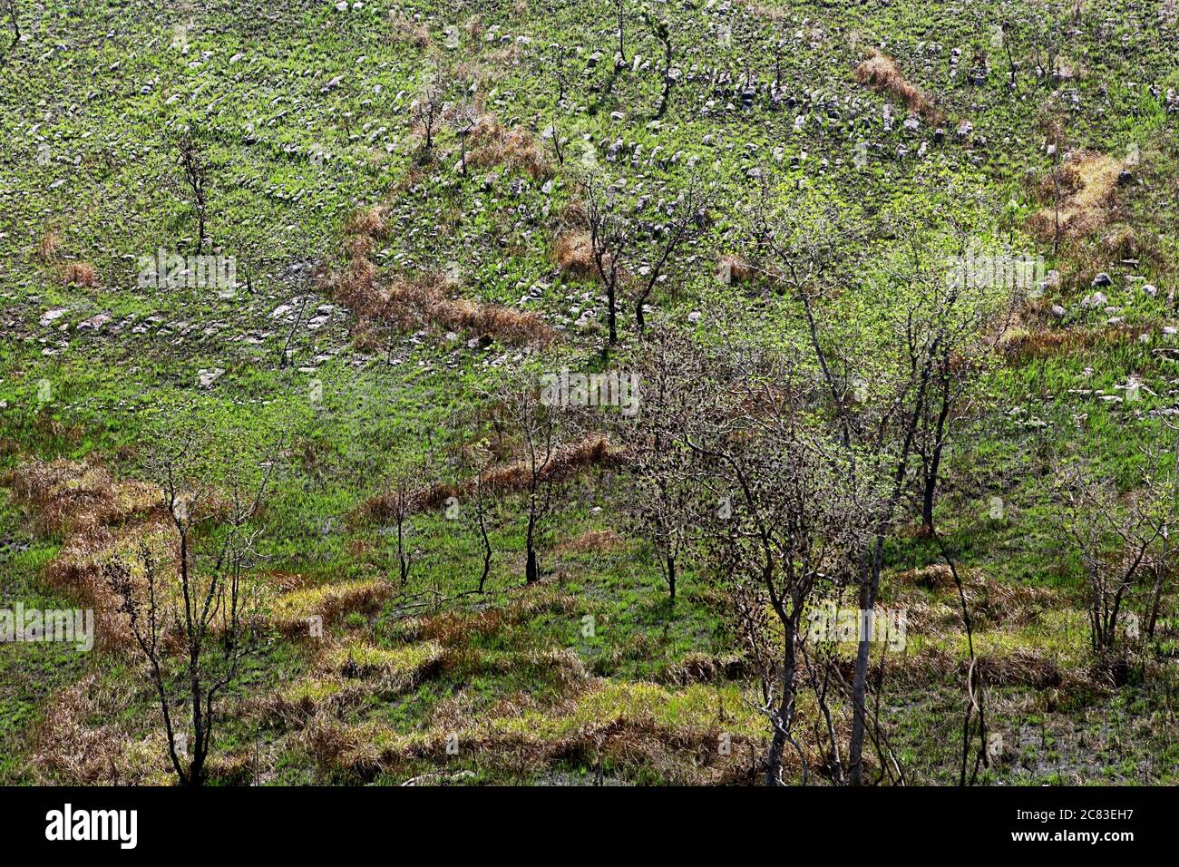 Sumba lesser sunda islands hi-res stock photography and images - Alamy