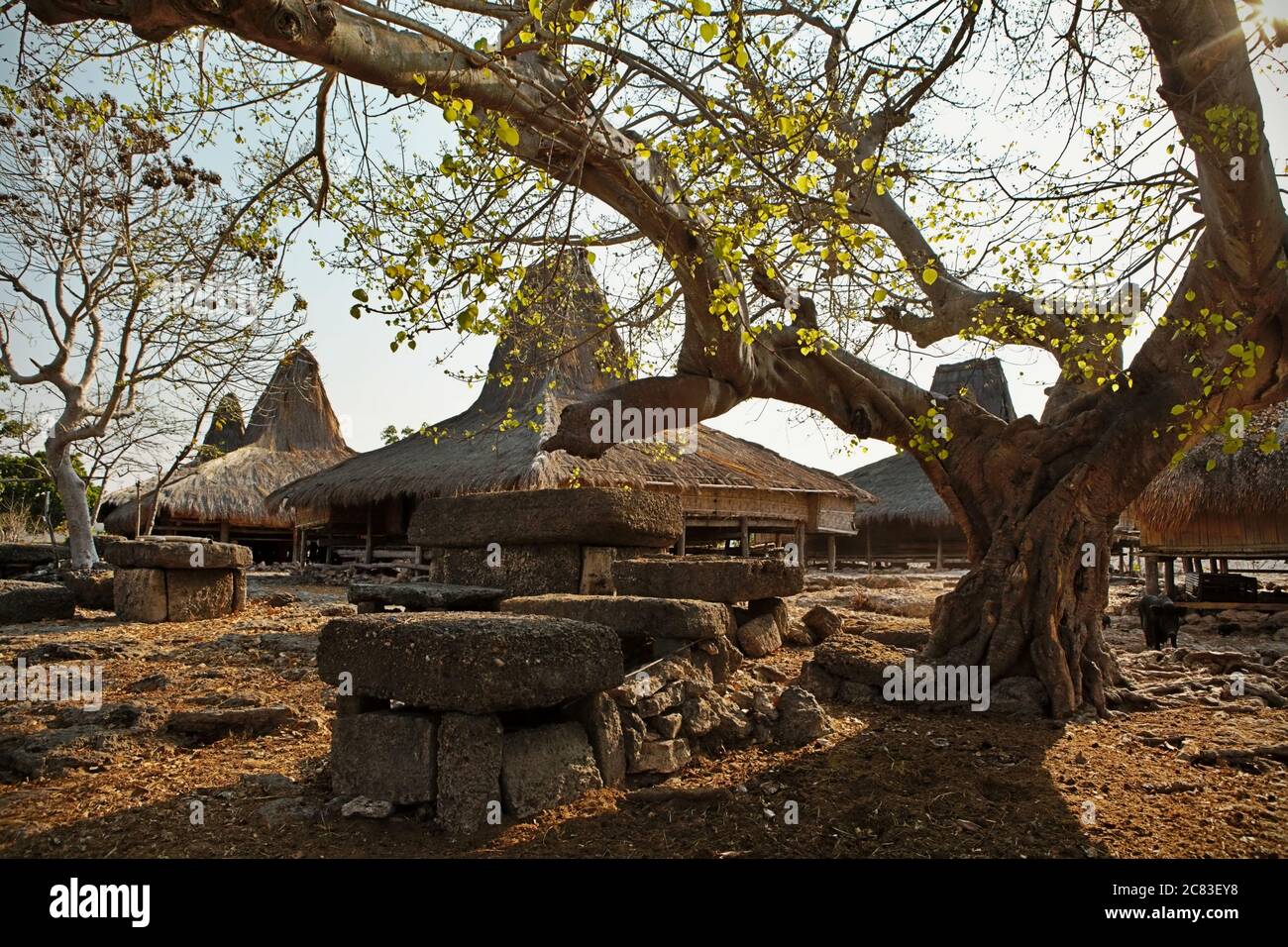 Sumba Traditional Architecture High Resolution Stock Photography and ...