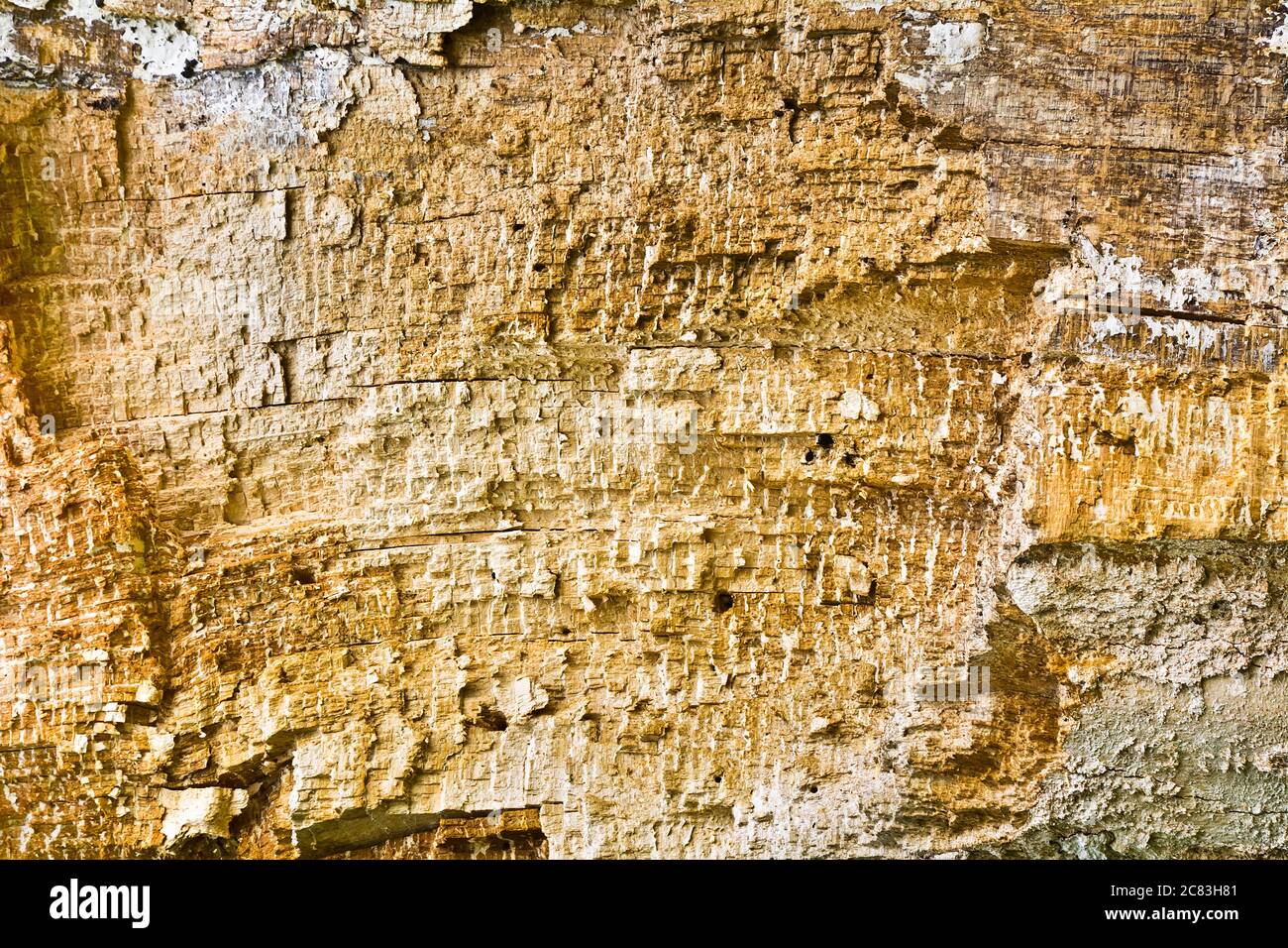 Old rotten wood hi-res stock photography and images - Alamy