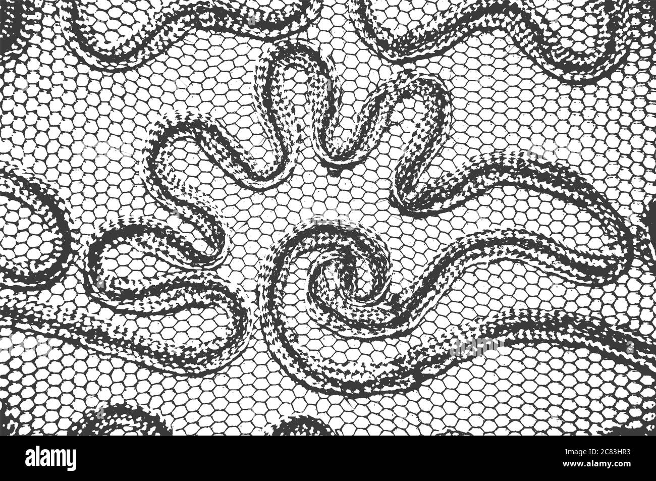 Old dirty carpet fabric Black and White Stock Photos & Images - Alamy