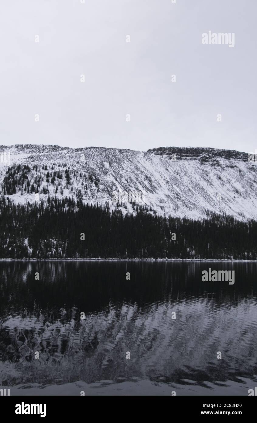 Vertical grayscale shot of snow forest and its reflection on lake Stock ...