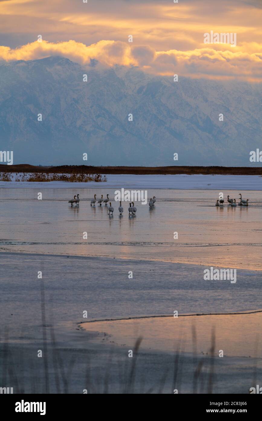 Vertical shot salt mountains hi-res stock photography and images - Alamy