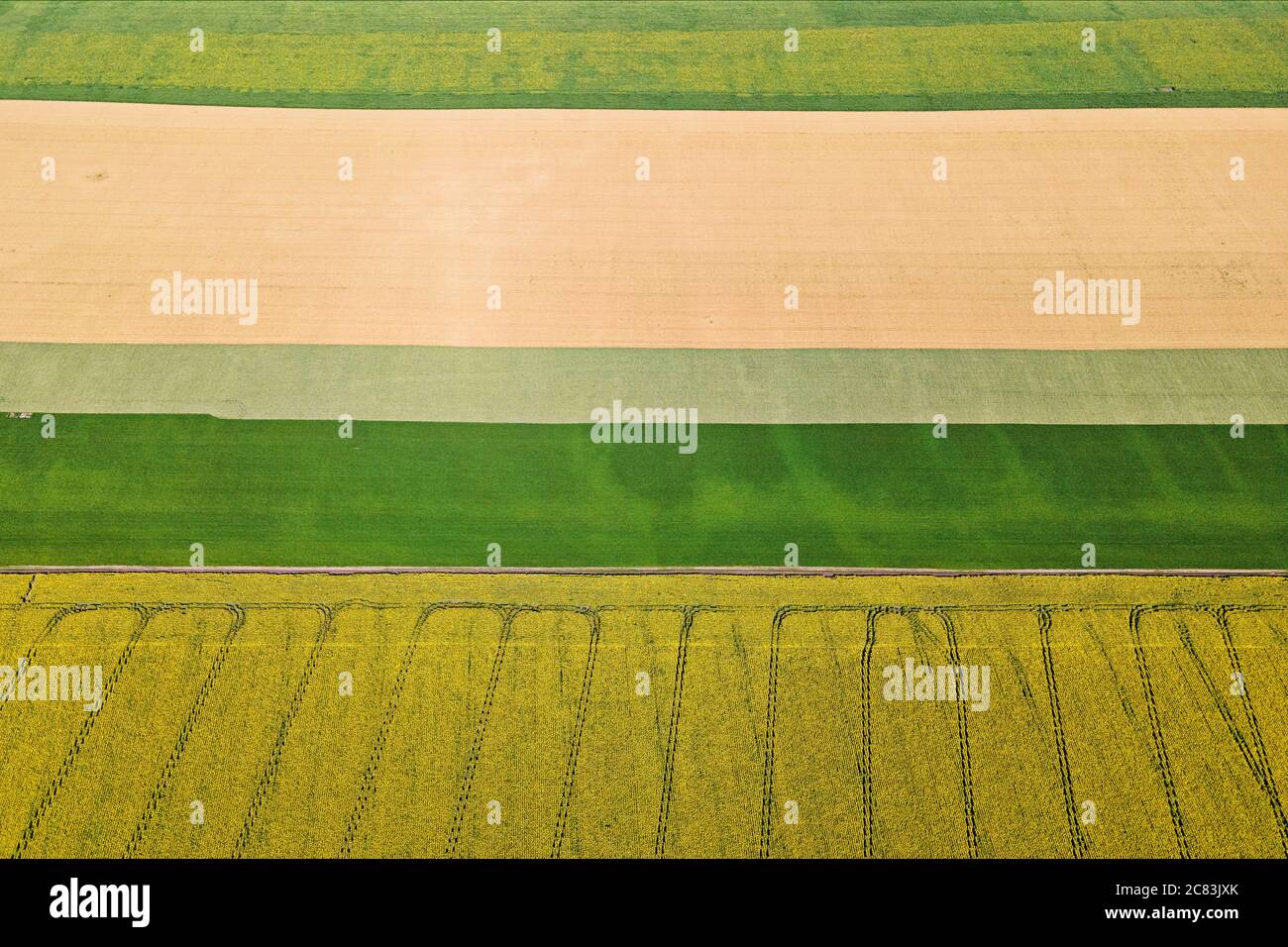 Colorful farm fields from above. Sunflower, wheat, rye and corn ...