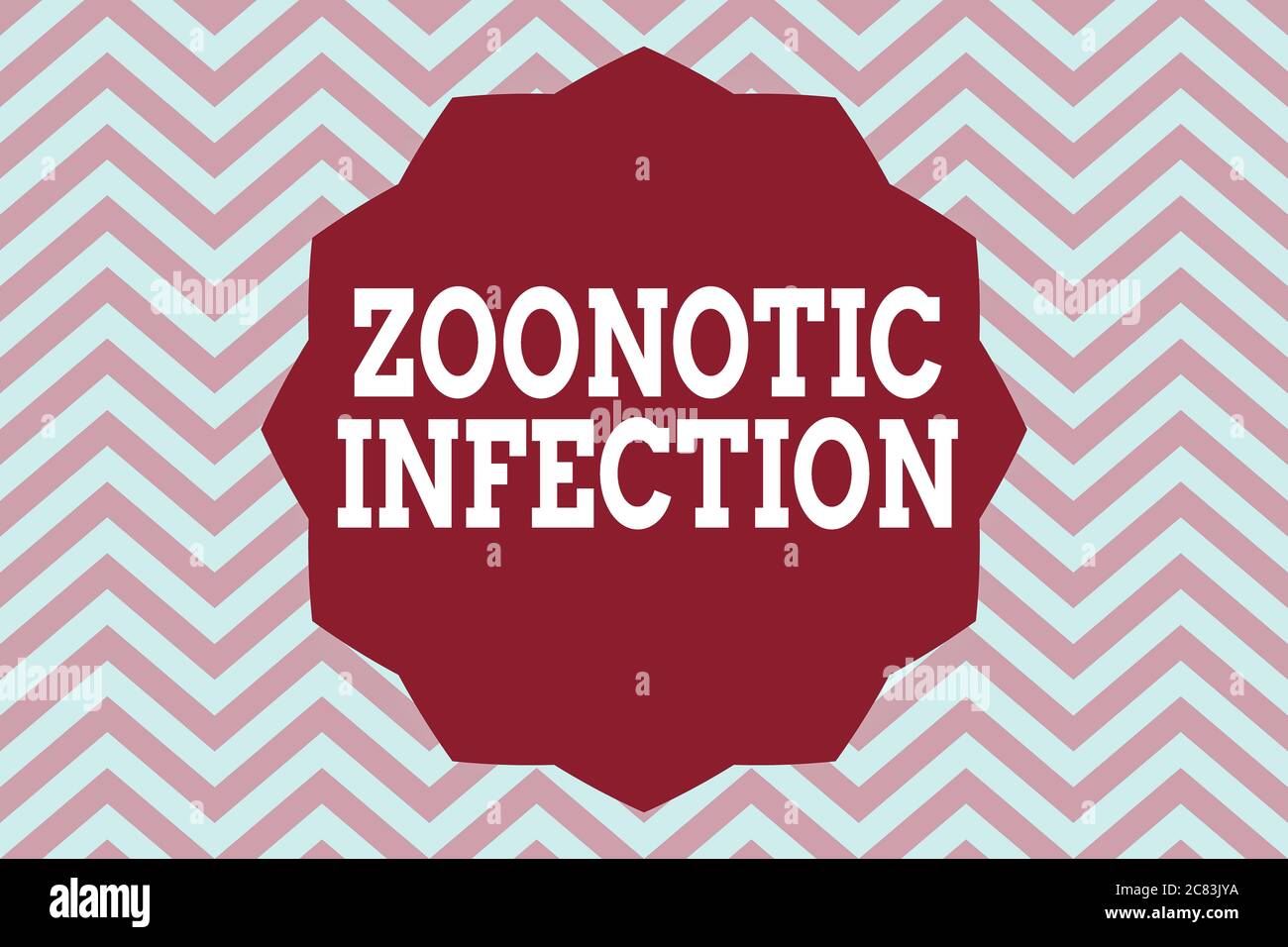 Word writing text Zoonotic Infection. Business photo showcasing ...