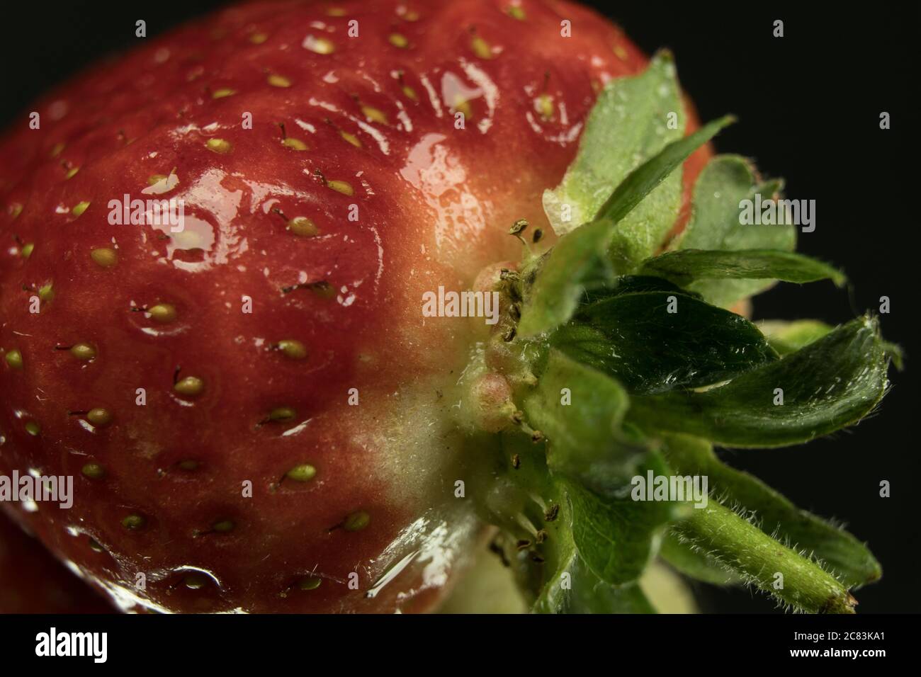 Food magnified hi-res stock photography and images - Alamy