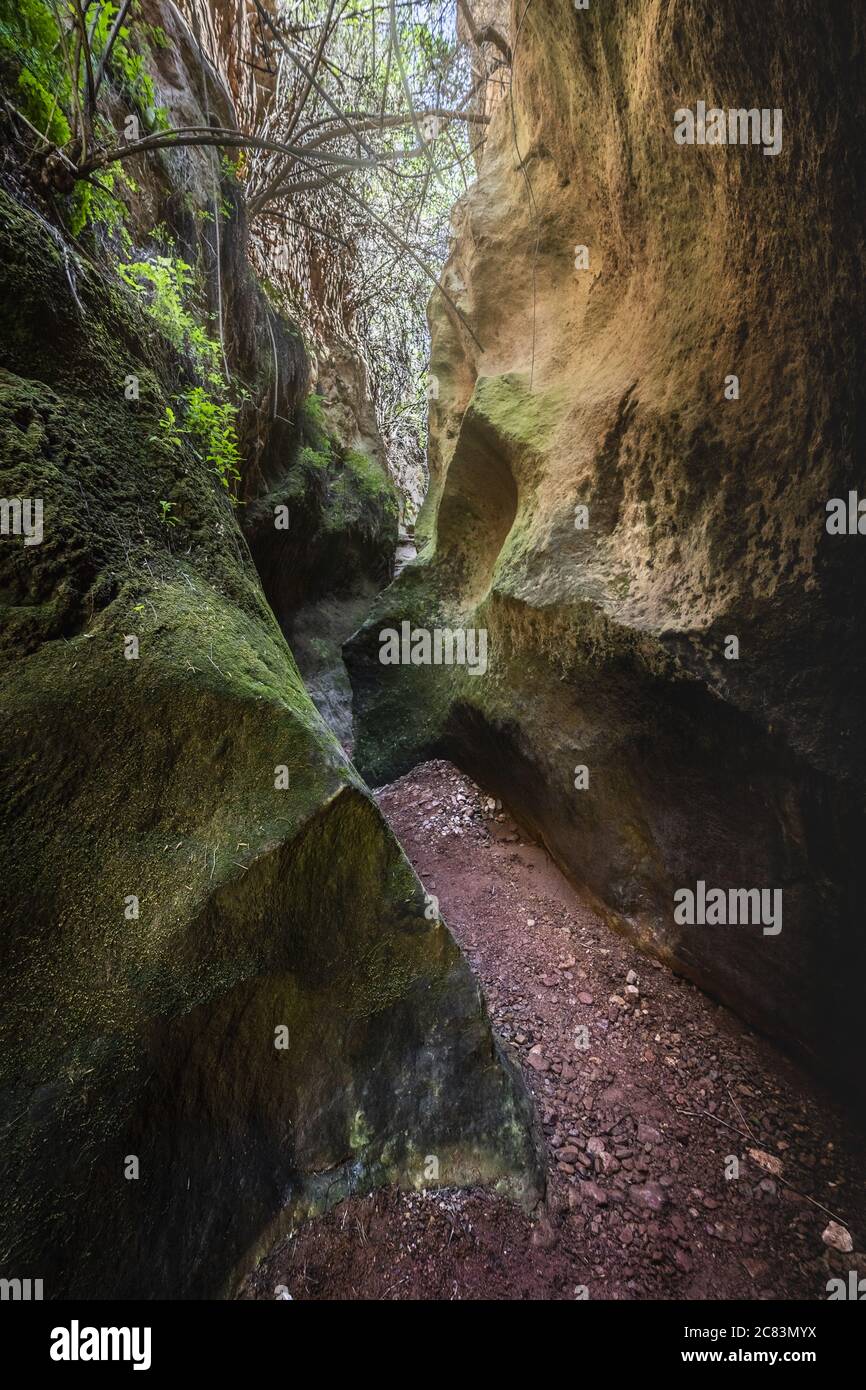 Breathtaking view of the narrow path between the enormous rocks Stock ...