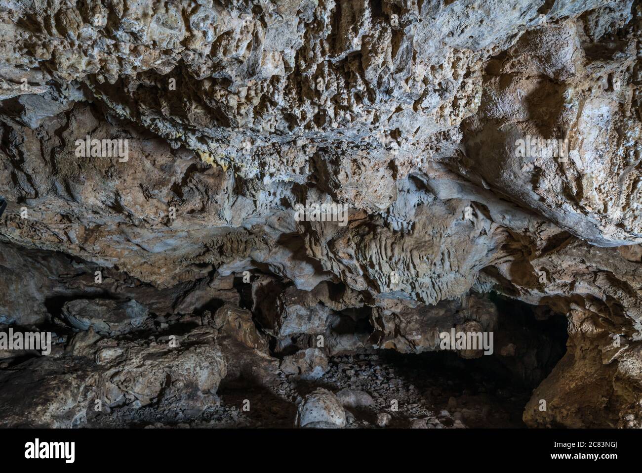 Beautiful mineral formations in the cavern of Cenote Xkeken near ...