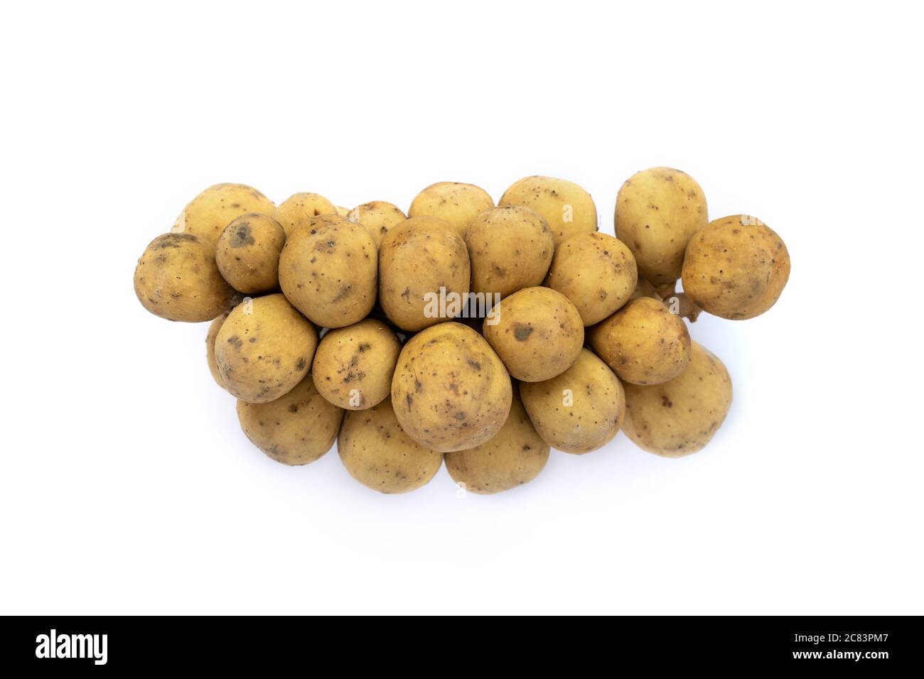 Duku fruit hi-res stock photography and images - Alamy