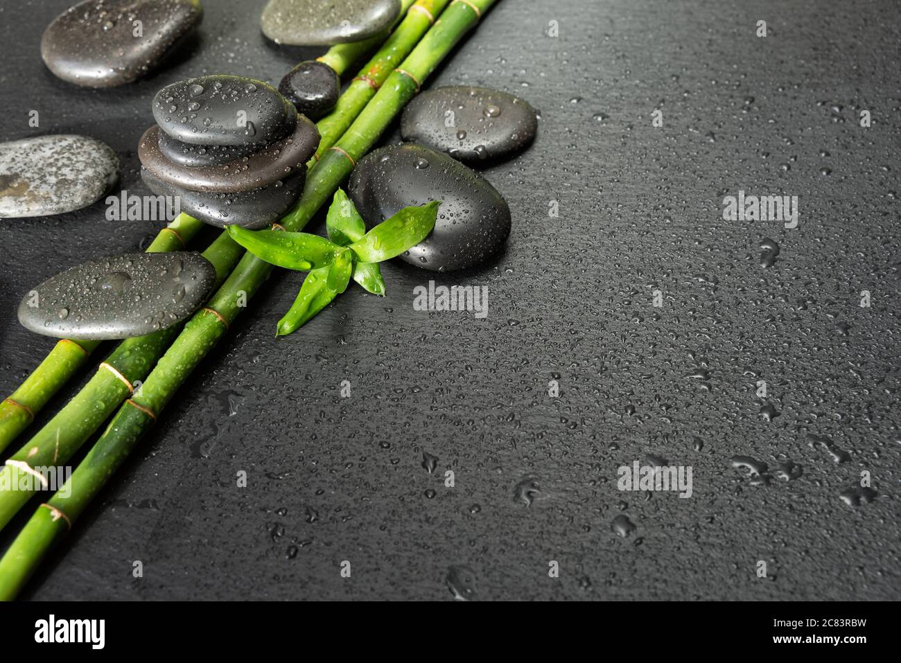 Spa concept with black basalt massage stones, green bamboo shoots and ...