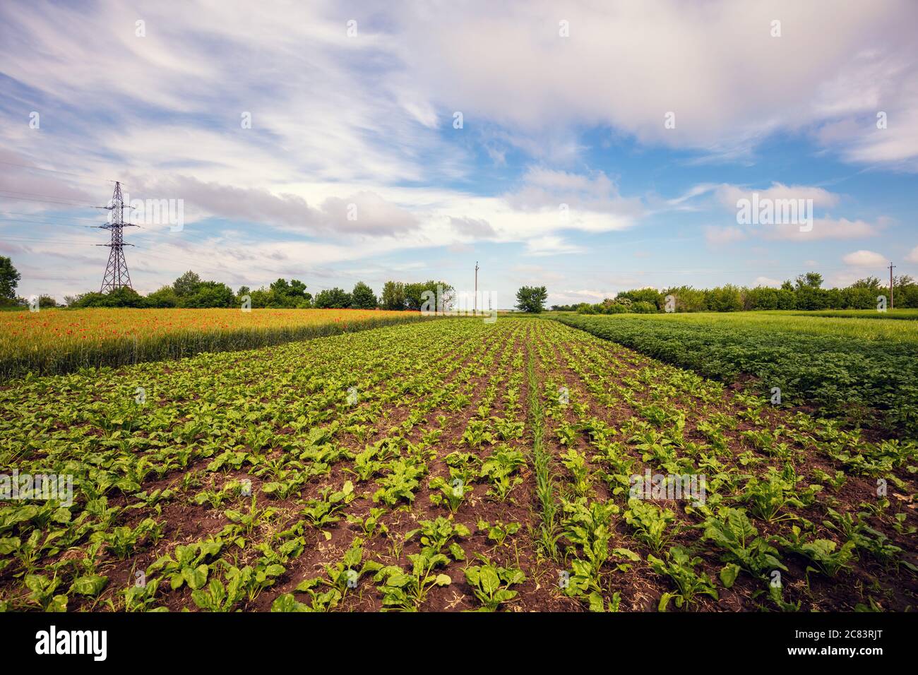 Arable farming landscape hi-res stock photography and images - Alamy