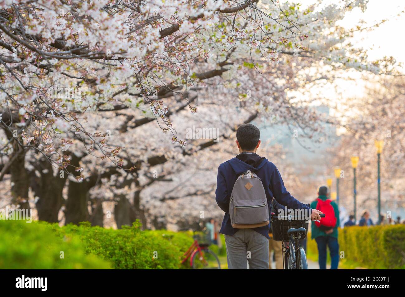 Japanese photo shoot hi-res stock photography and images - Alamy