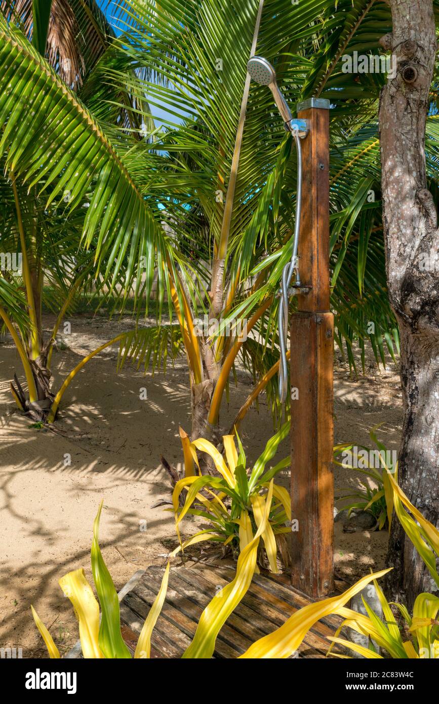 Vertical shot of an outdoor shower surrounded by palm trees in Tonga ...