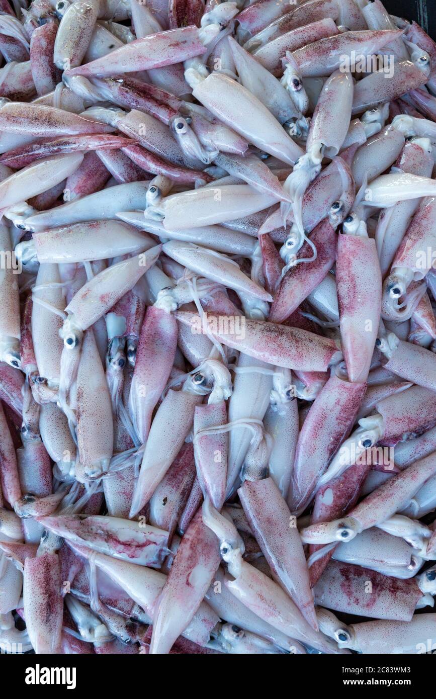 Vertical shot of a lot of squad at a fish market Stock Photo - Alamy