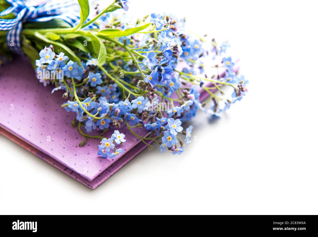 Forget me not flowers and notebook on white background Stock Photo - Alamy