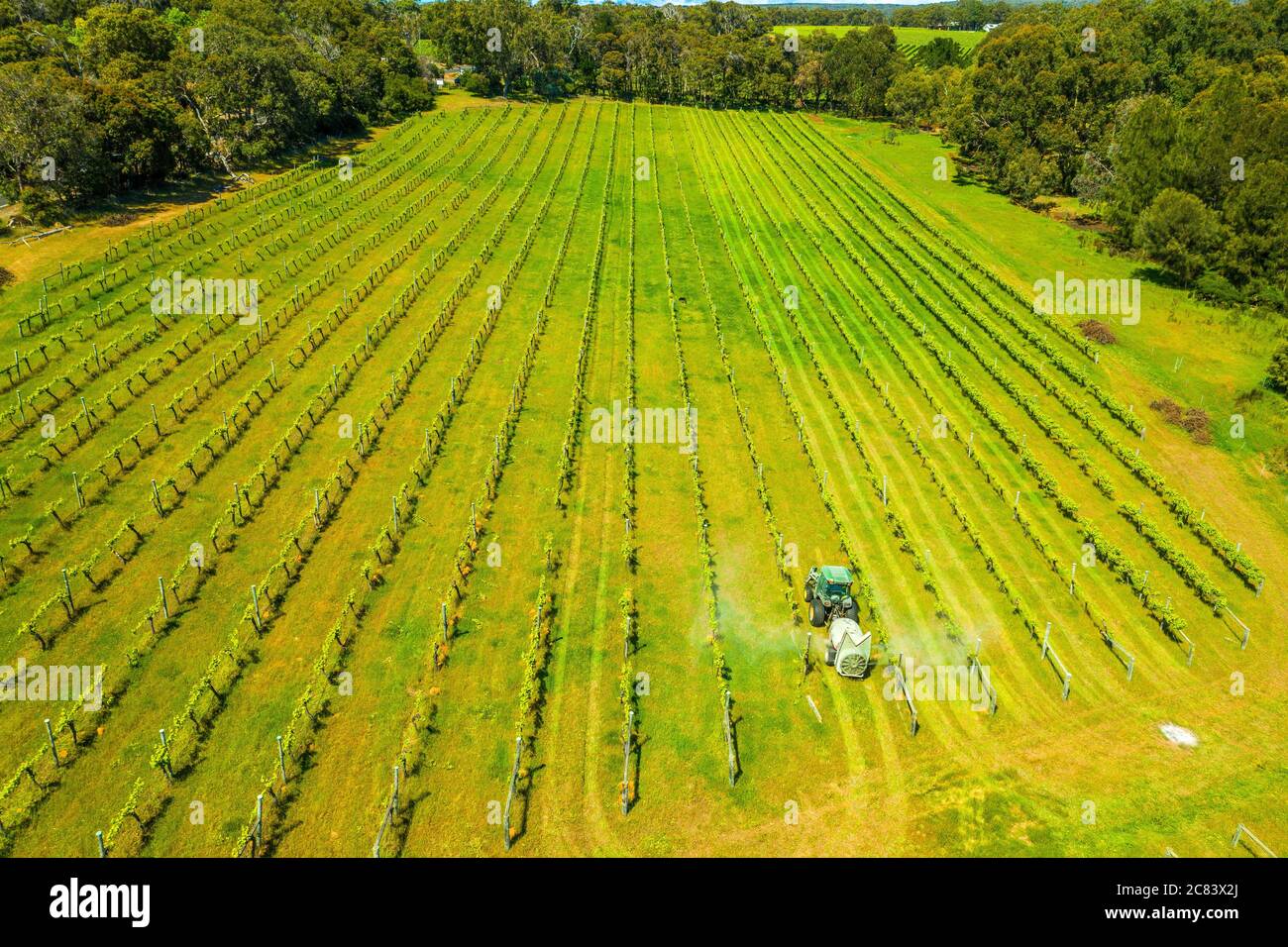 View plantation spraying on field hi-res stock photography and images ...