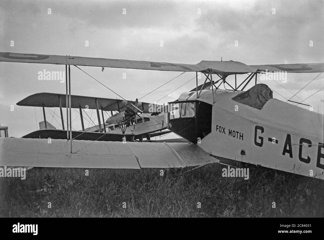 G moth Black and White Stock Photos & Images - Alamy
