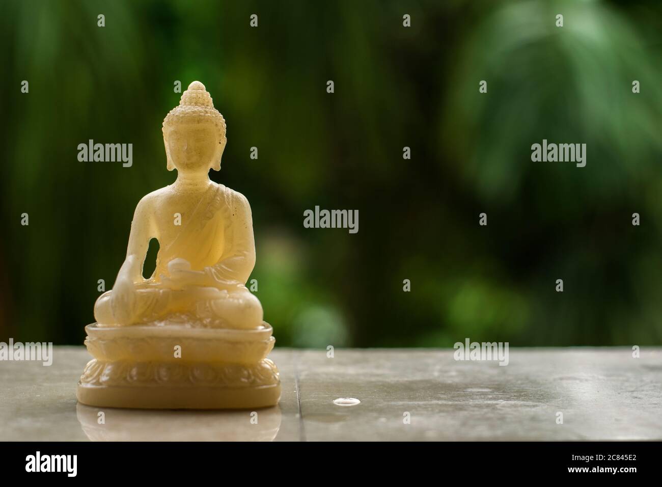 Beautiful white Buddha statue with natural background and space for ...