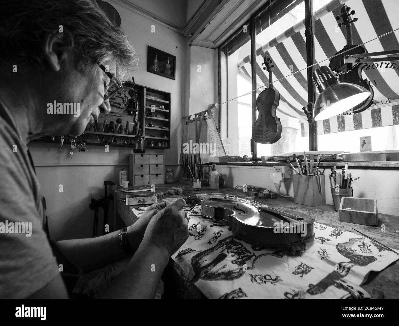 Luthier violin maker Carlos Roberts working in his workshop in Cremona ...