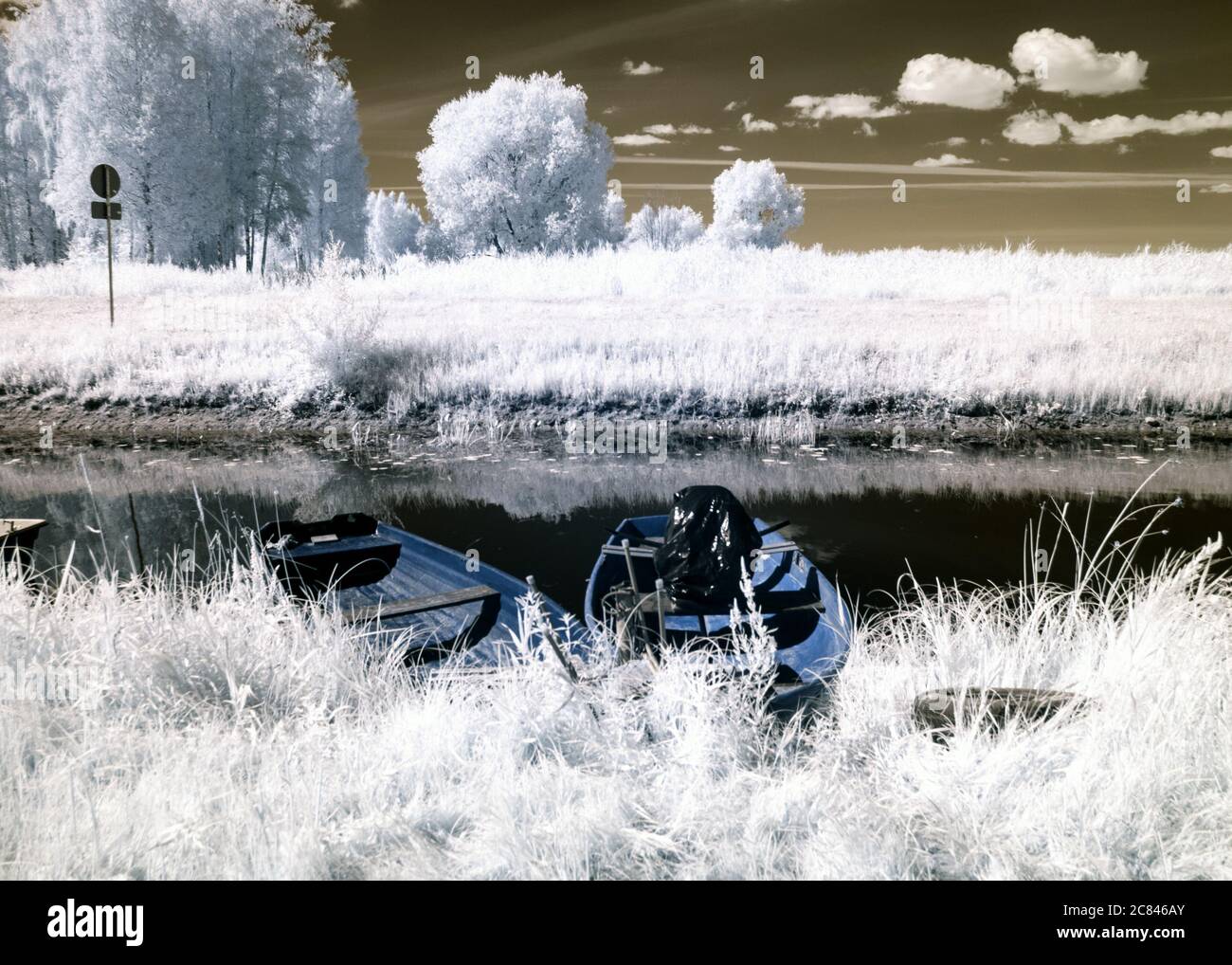 sunny summer landscape, infrared photo snowy tree amazing nature lake ...