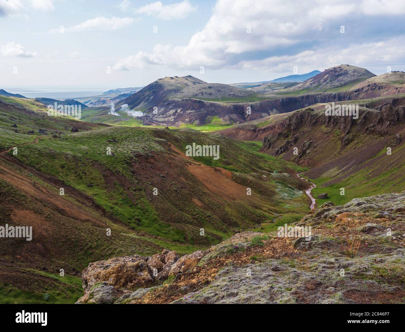 Reykjadalur valley with hot springs river with lush green grass meadow ...