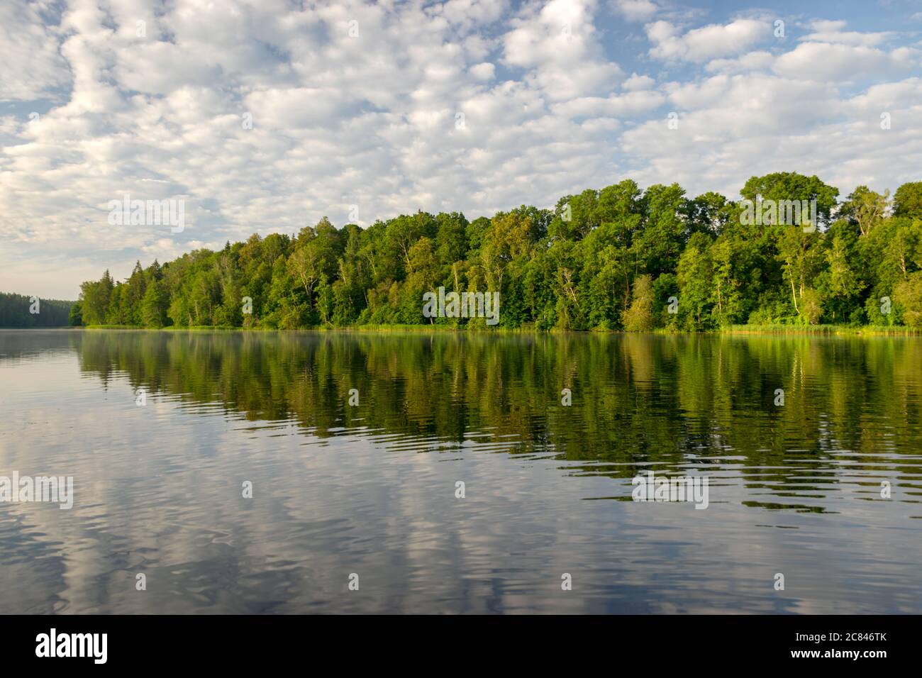 beautiful summer morning landscape on the lake, beautiful clouds and ...