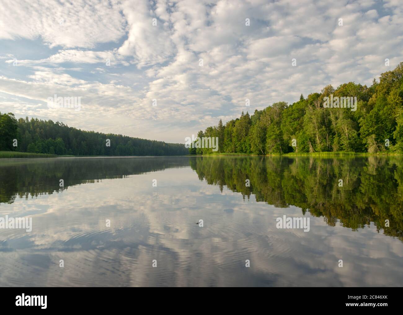 beautiful summer morning landscape on the lake, beautiful clouds and ...