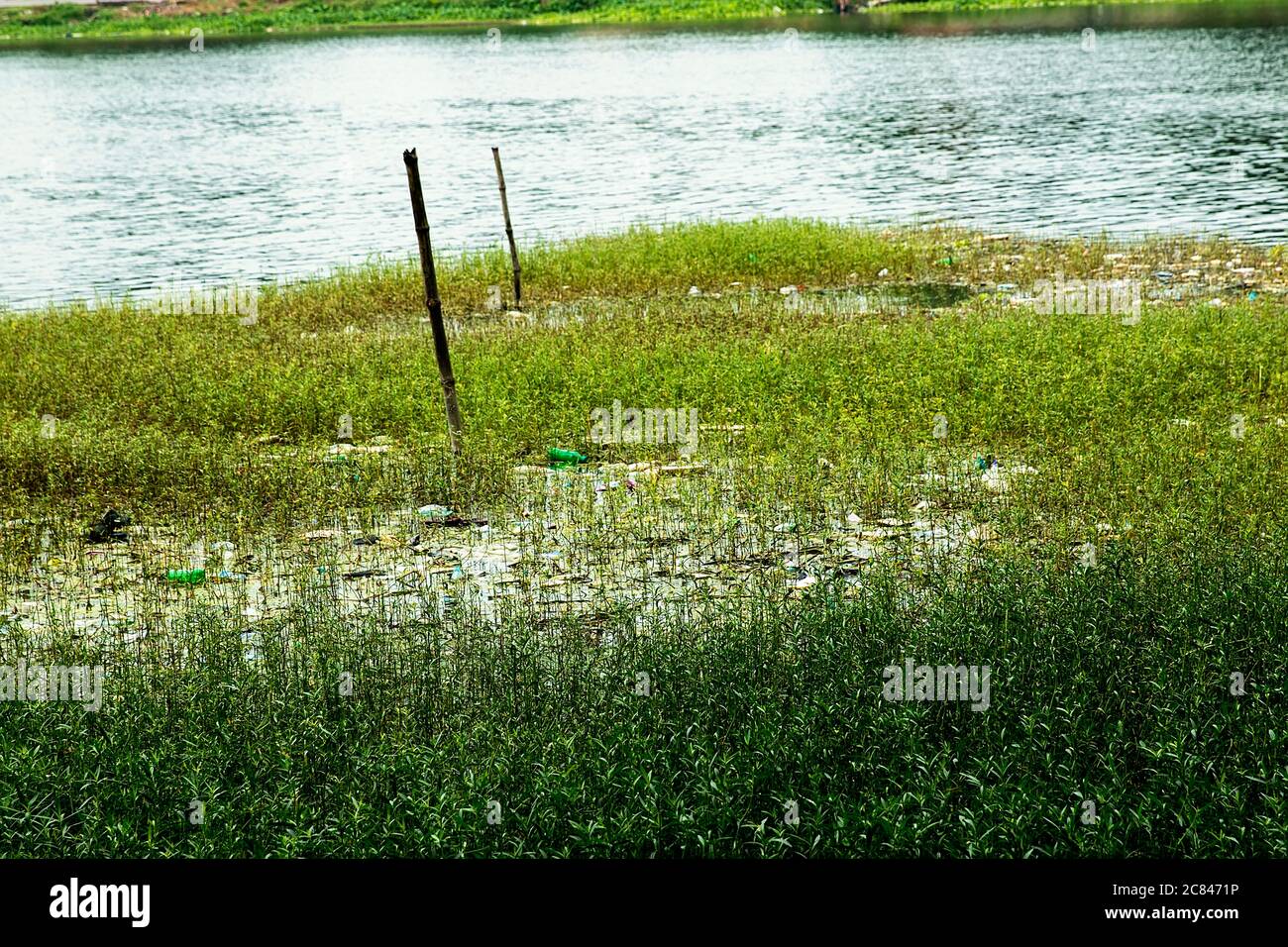 Garbage on the river shore Stock Photo - Alamy