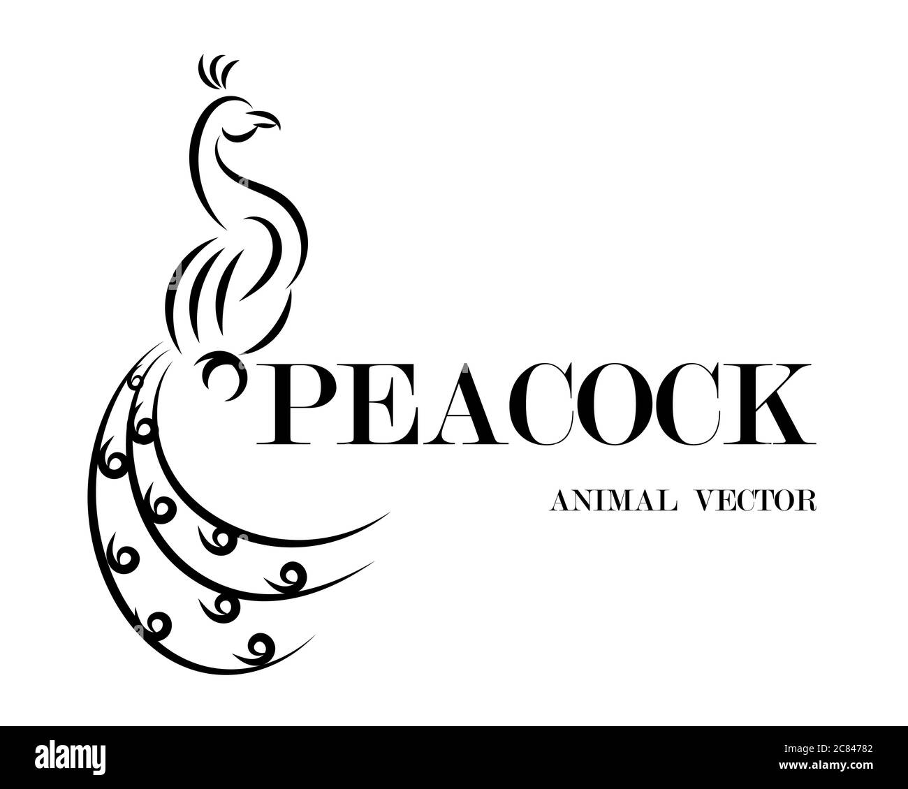 Black line art Vector illustration on a white background of a peacock ...