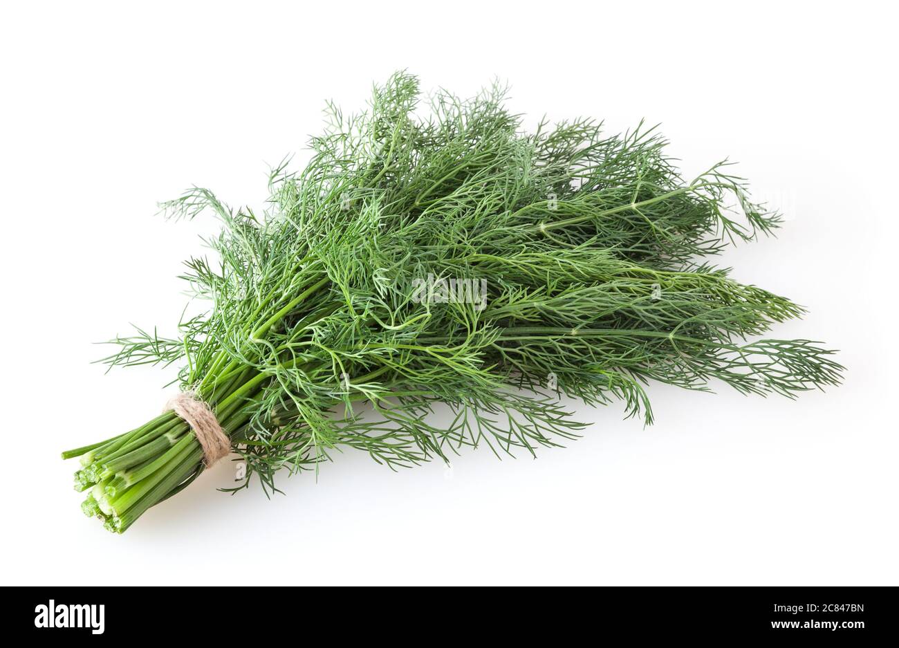 Bunch of fresh dill isolated on white background Stock Photo - Alamy