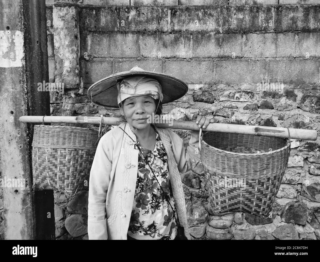 Tea plantation worker in northern Thailand Stock Photo - Alamy