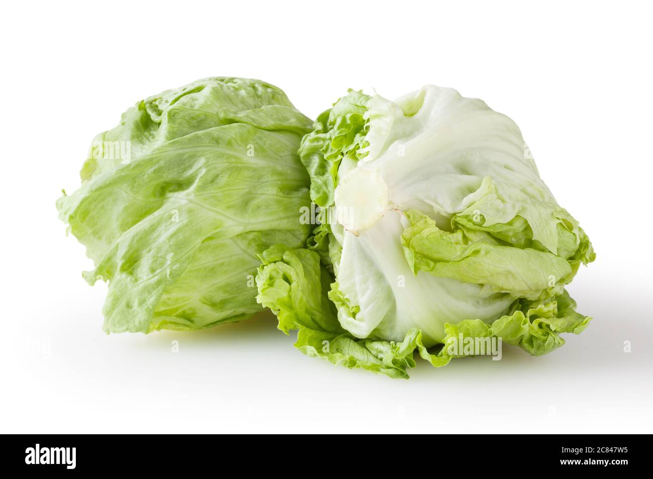 Fresh iceberg letuce isolated on white background with clipping path ...