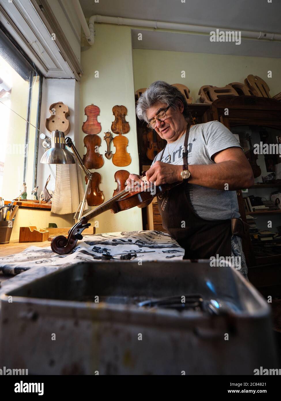 Luthier violin maker Carlos Roberts working in his workshop in Cremona ...