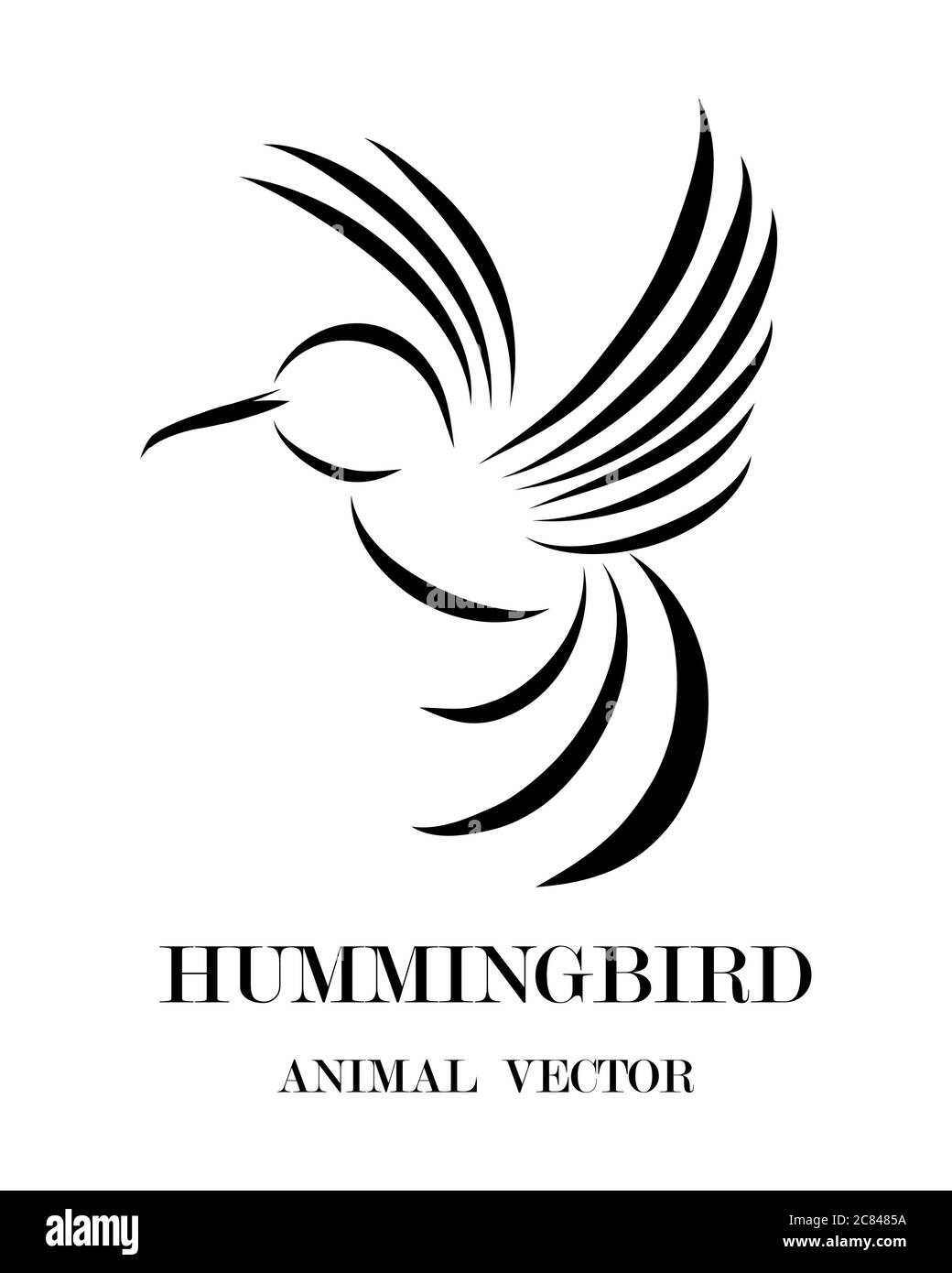Hummingbirds flying Black and White Stock Photos & Images - Alamy
