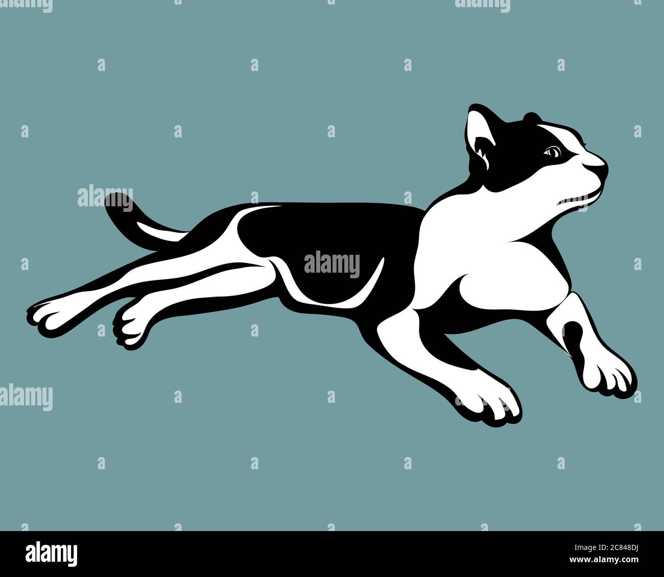 White fluffy cat laying Stock Vector Images - Alamy