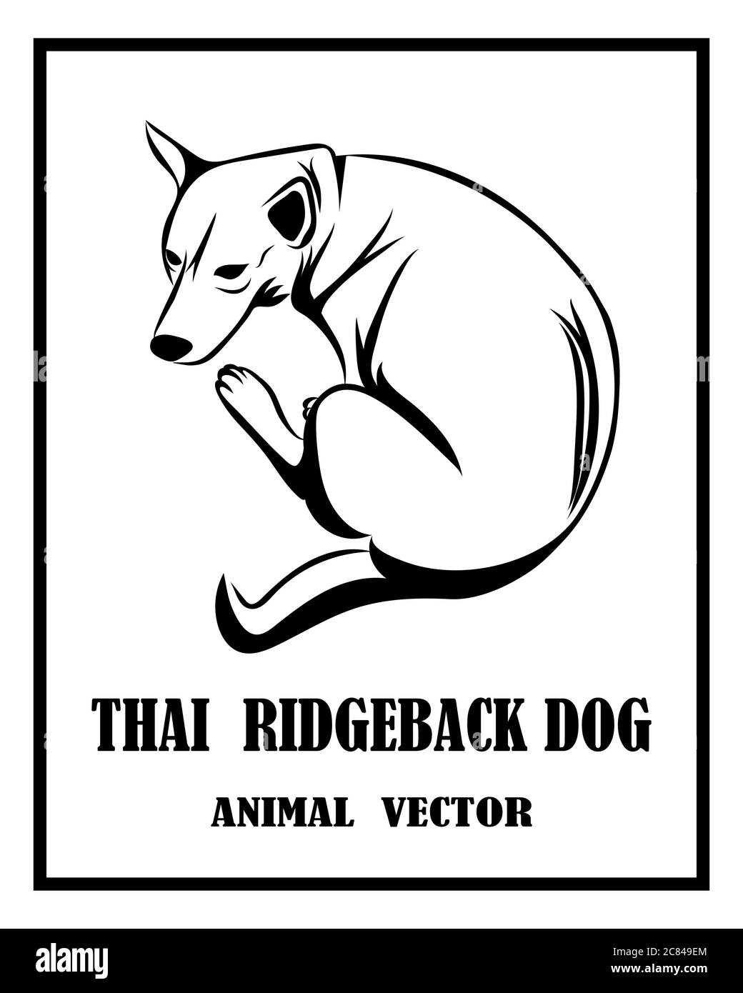 Ridgeback Logo Rhodesian Ridgeback #8 Peeking Paws Dog Breed Pedigree
