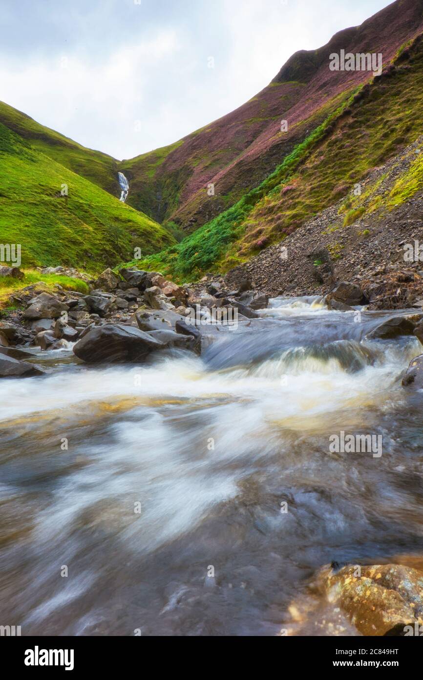 Grey Mares Tail High Resolution Stock Photography and Images - Alamy