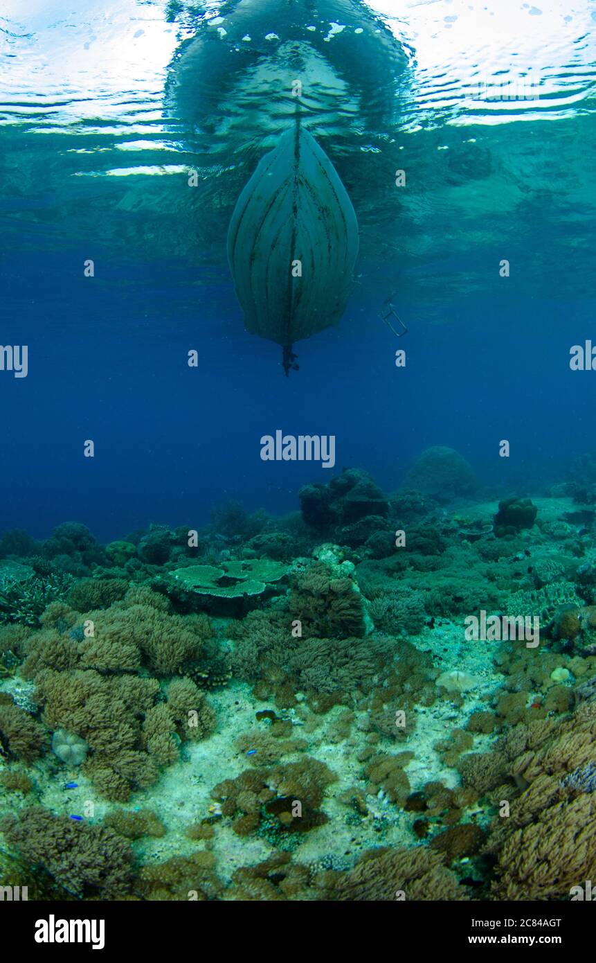 Vertical shot of a boat over a coral reef - perfect for wallpaper Stock ...