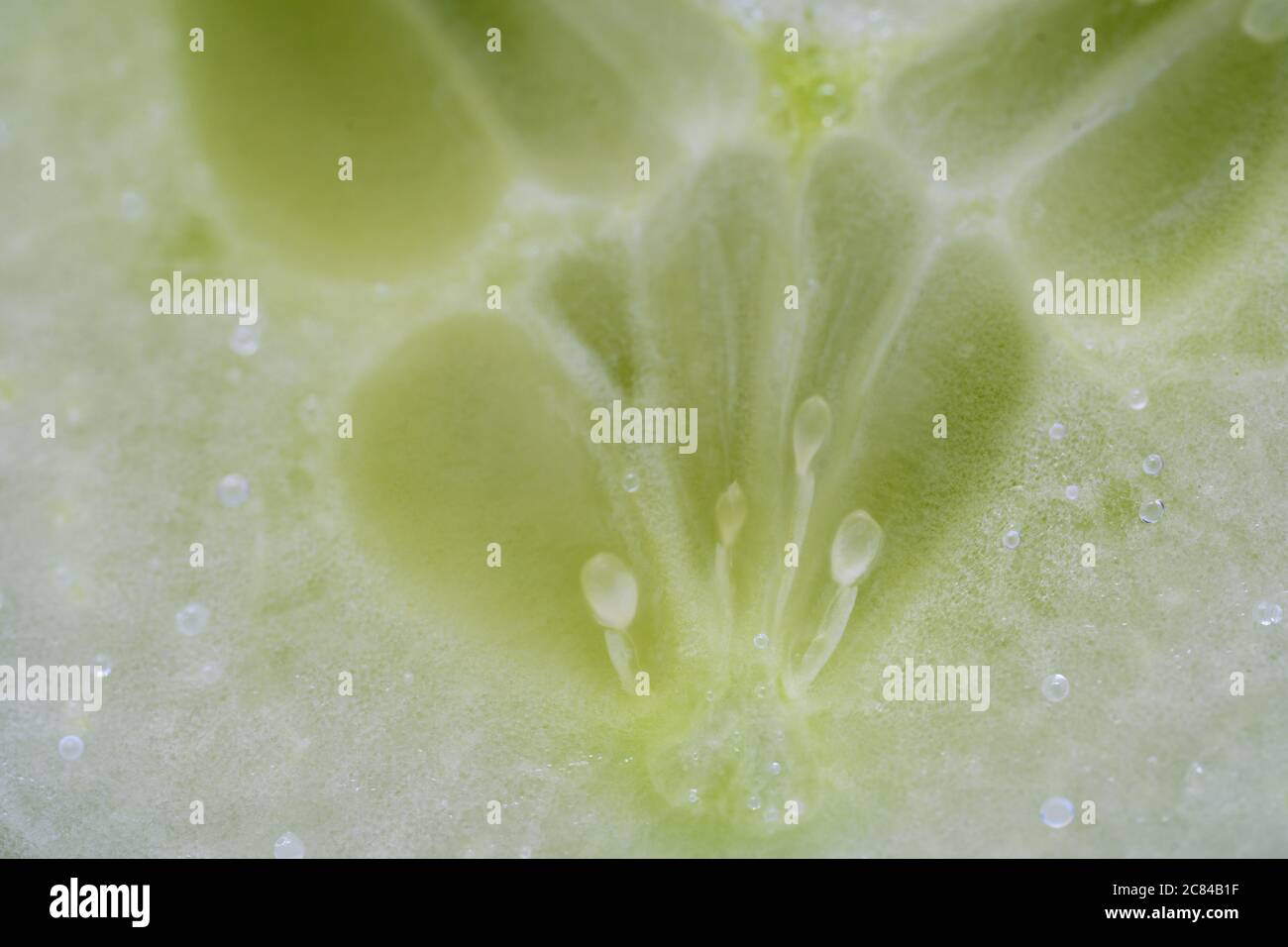 A macro photograph of the interior of a sliced cucumber Stock Photo - Alamy