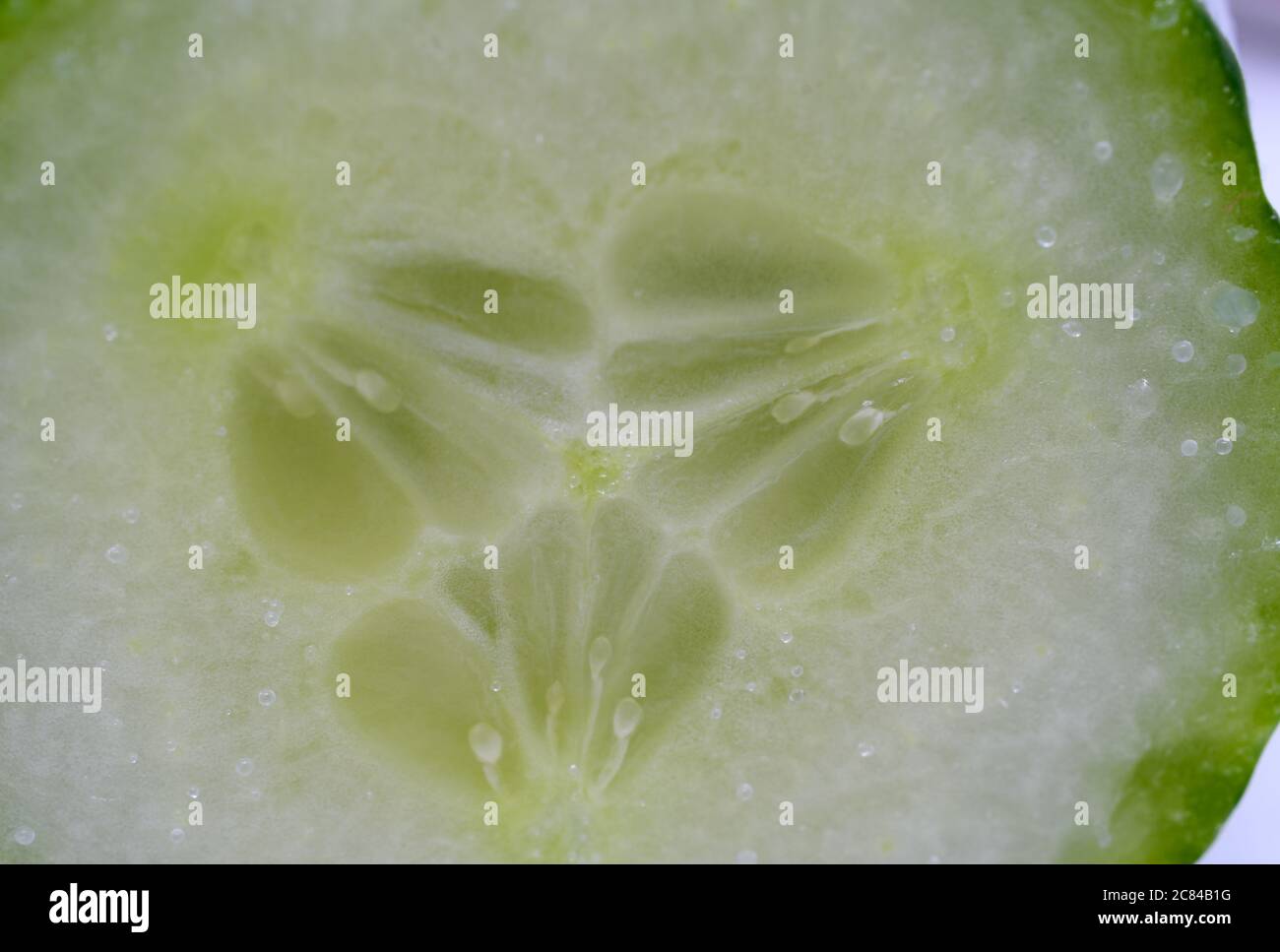 A macro photograph of the interior of a sliced cucumber Stock Photo - Alamy