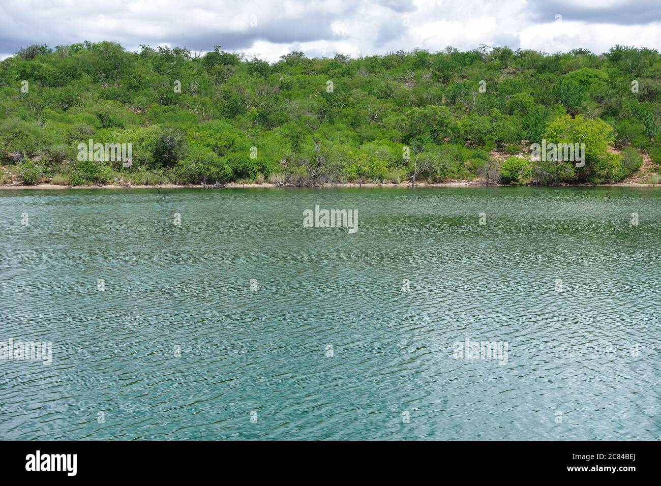 Beautiful scene of the sea and the land with rich tropical plant life ...
